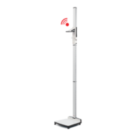 Seca 274 Digital Stadiometer with Wireless Transmission – WEIGH AND ...